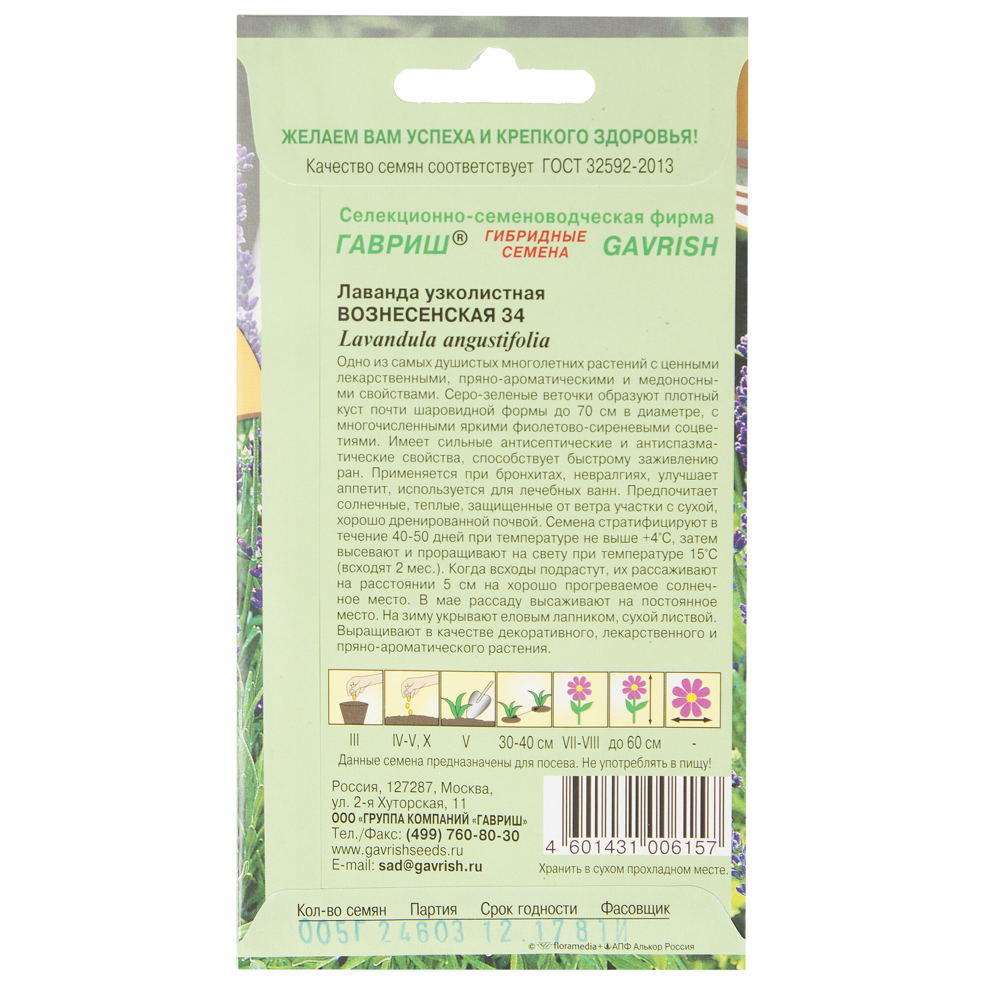 Семена цветов Лаванда узколистная Вознесенская синяя Гавриш, для дачи, сада, огорода и на рассаду