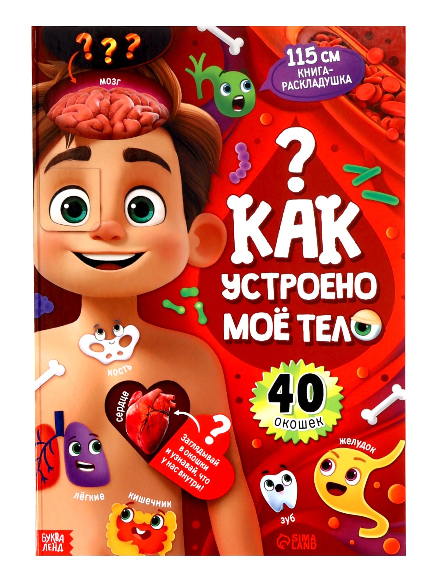 Книга - раскладушка детская "Как устроено моё тело" 40 окошек, буква-ленд