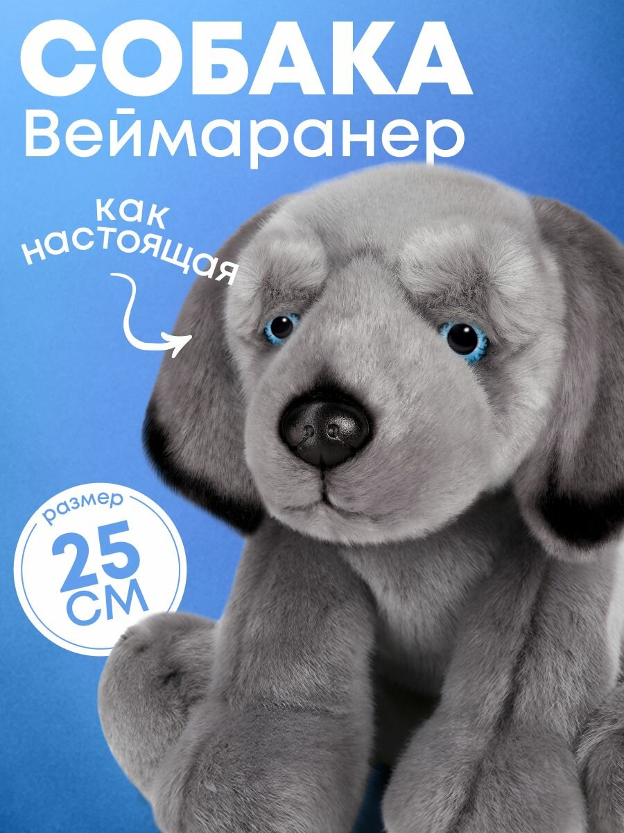 Мягкая игрушка реалистичная плюшевая Собака Веймаранер