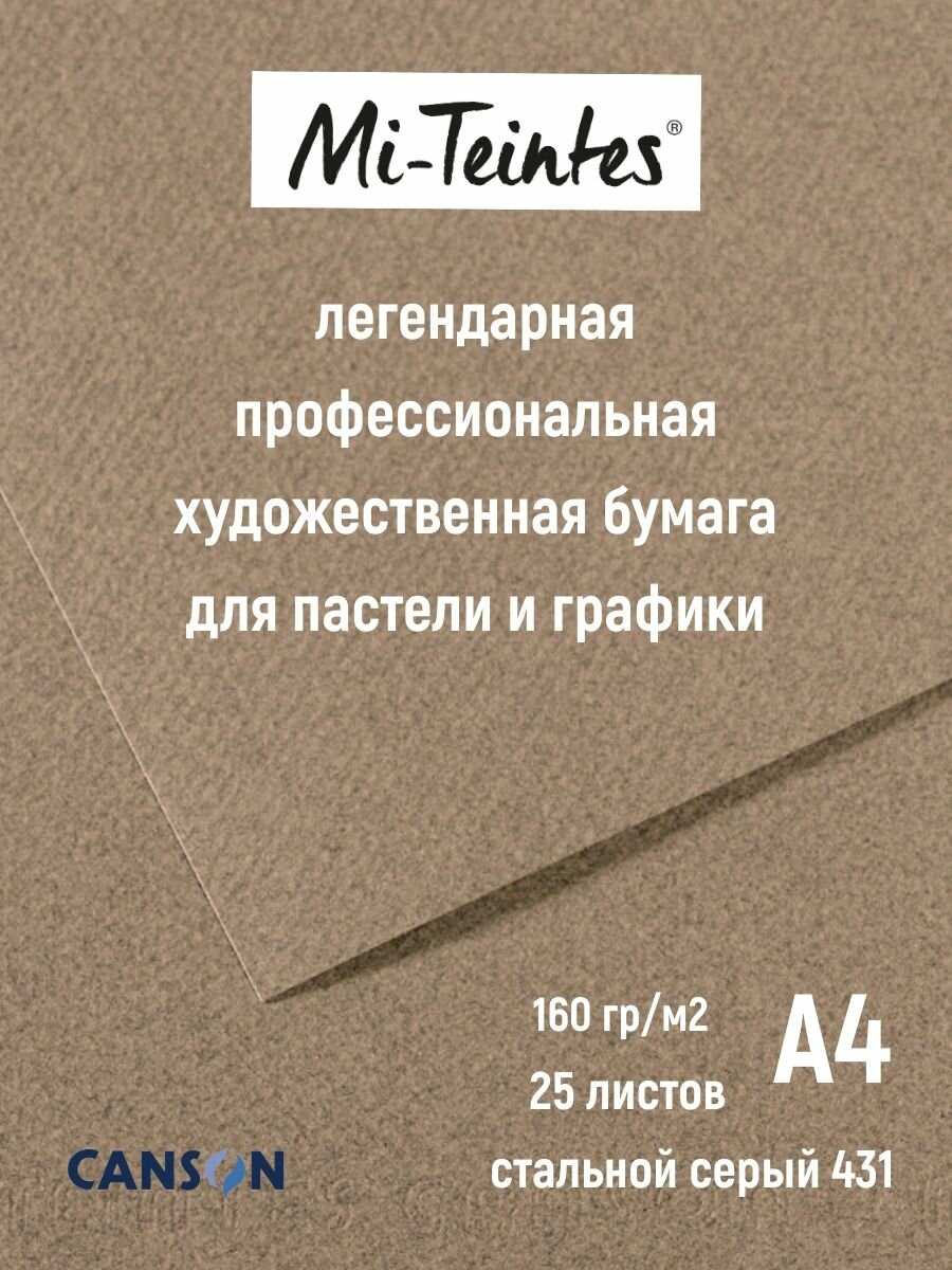CANSON Mi-Teintes бумага для пастели 160 г/м2, 25 листов A4 21 х 29.7 см, №431 Серый стальной C31033S035