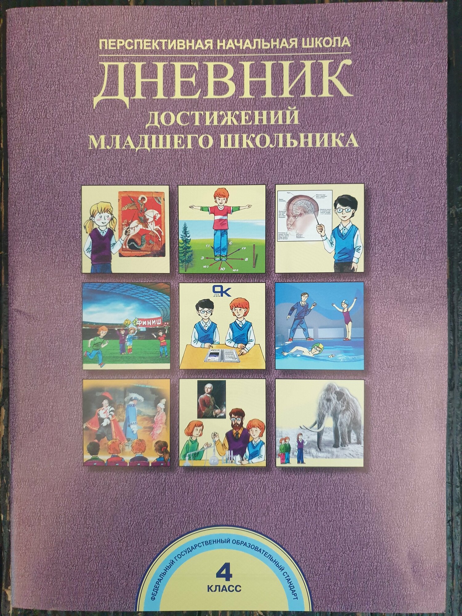 Чуракова Р. Г. "Дневник достижений младшего школьника. 4 класс. ФГОС" офсетная