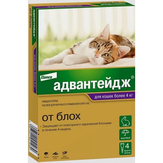 Капли Elanco Адвантейдж 80 К защита от блох для кошек больше 4 кг (4 пипетки х 0,8 мл)