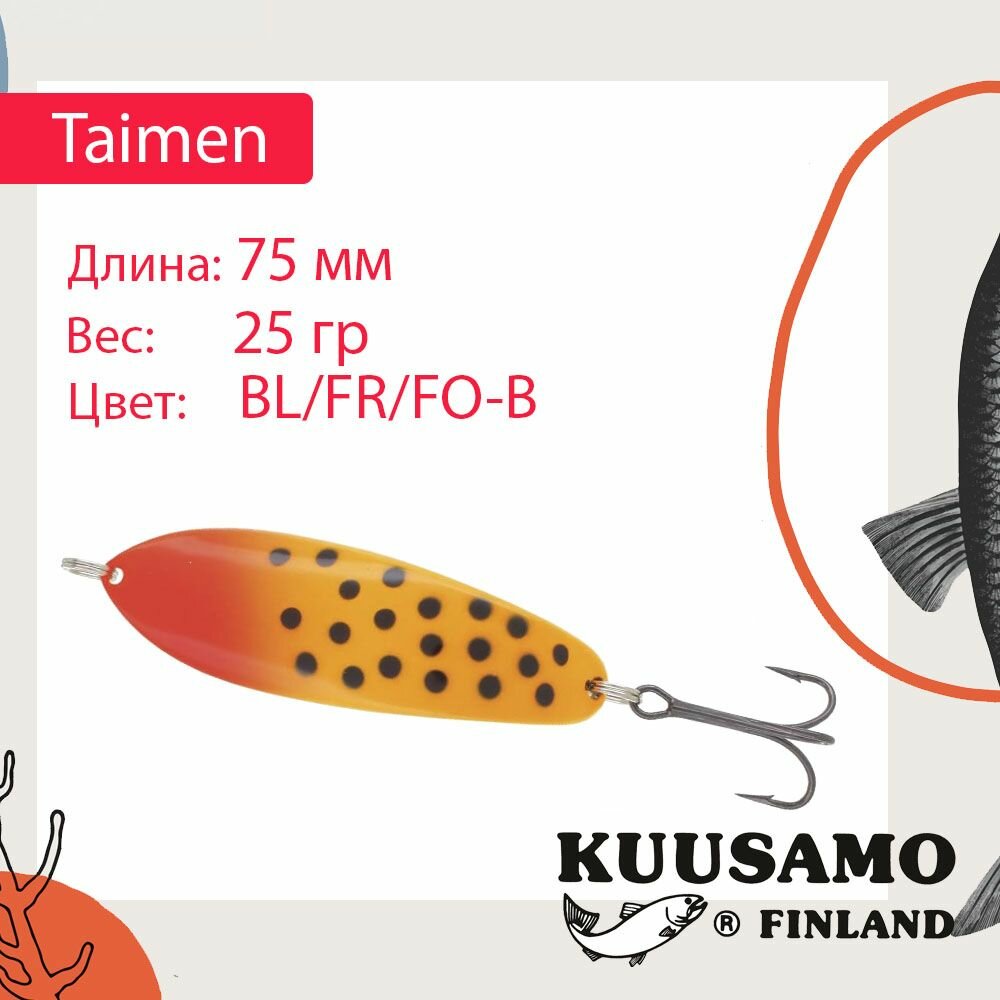 Блесна для рыбалки Kuusamo Taimen 75/25 BL/FR/FO-B, UV (колеблющаяся)