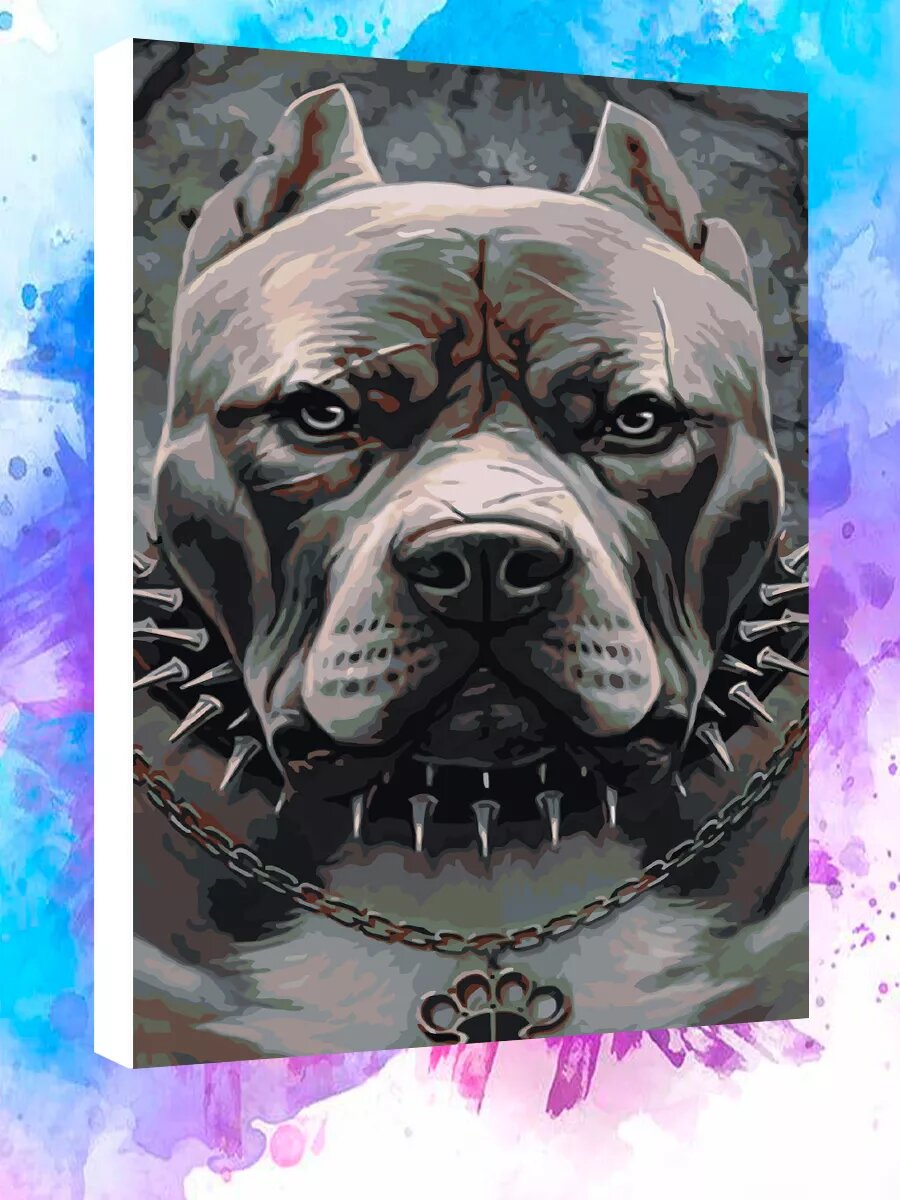 Картина по номерам Питбуль Собака