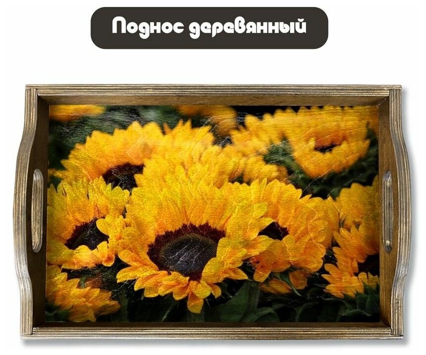 Деревянный поднос с рисунком цветы подсолнух, желтый, семечки, масло - 1037