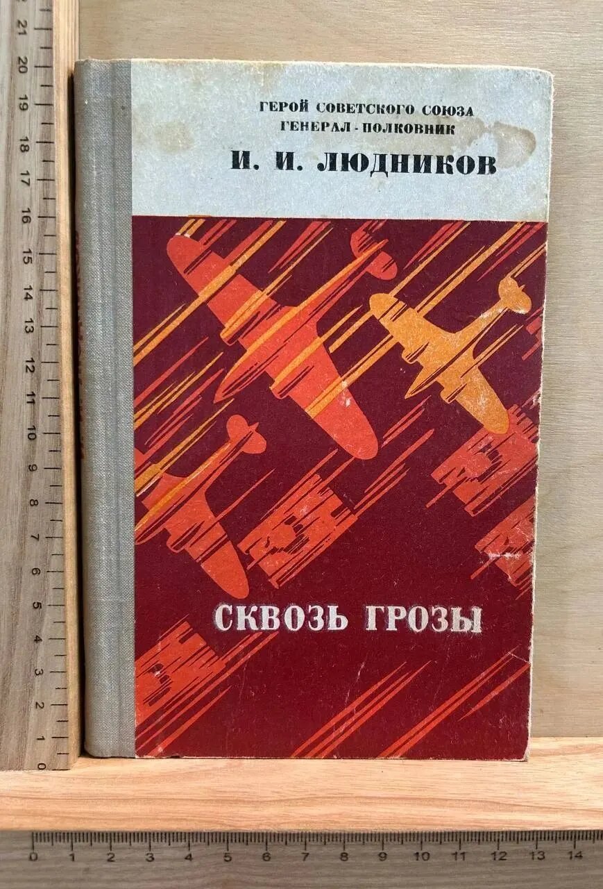 Сквозь грозы