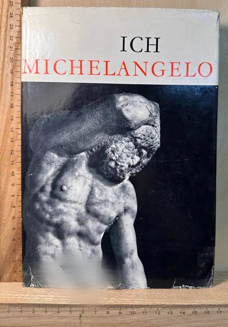 Ich Michelangelo. Briefe, Dichtungen und Gespr che in einer Auswahl