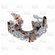 STARTVOLT VDB1072 Мост диодный генератора для а/м Ford Focus II (05-)/C-MAX (07-...