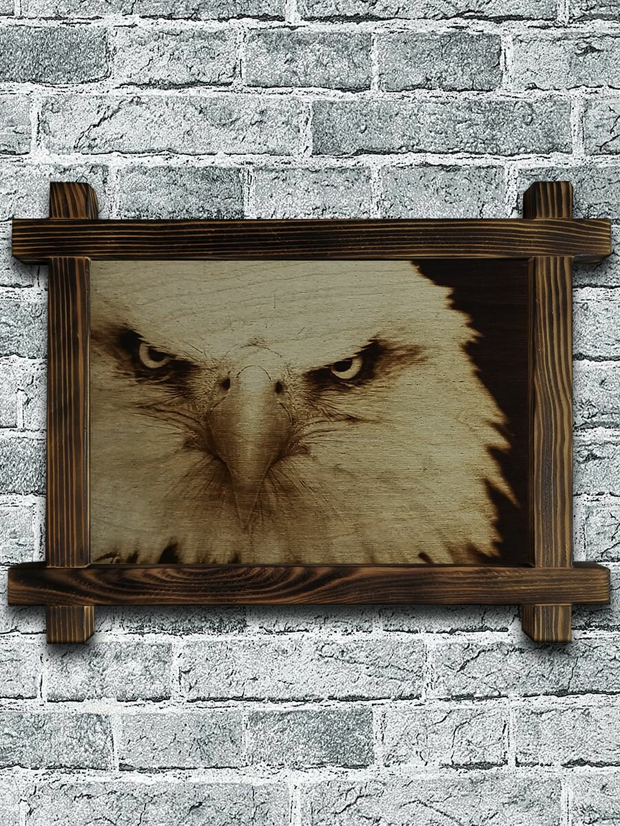 Картина Vilartwood "Орлиный взгляд" с рамой 39х30 см коричневый 1 шт