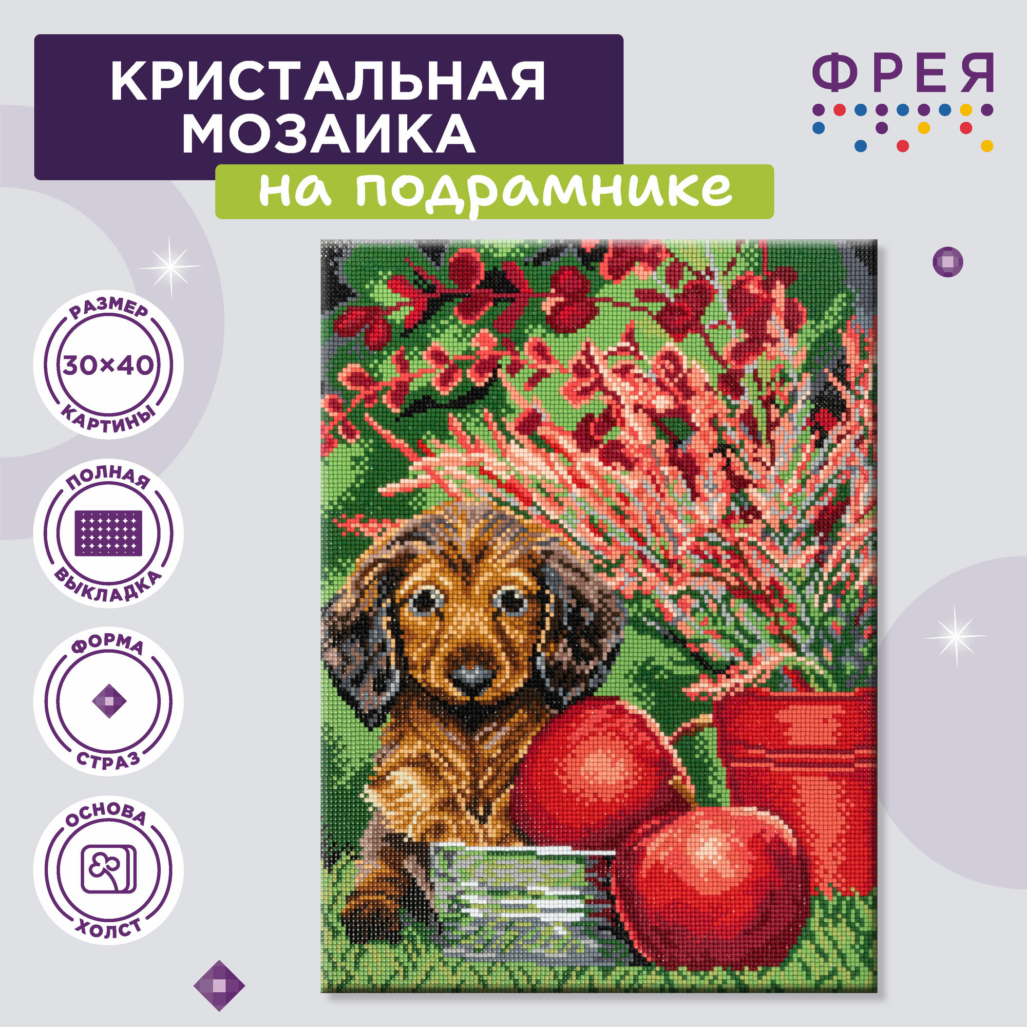 Алмазная (кристальная) мозаика с холстом на подрамнике 30 х 40 см "фрея" ALPD-212 "Малыш такса"