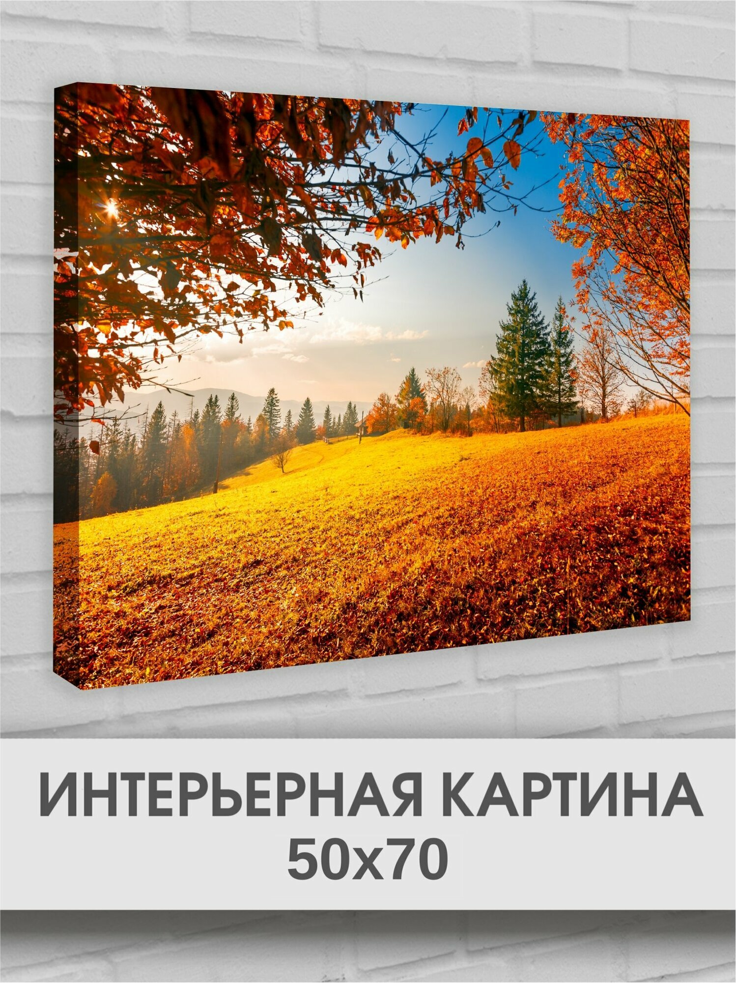Интерьерная картина Осень на стену 50х70 для дома
