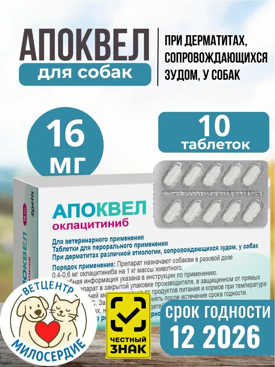 Апоквел 16 мг 10 таблеток один блистер Срок годности 12/2026
