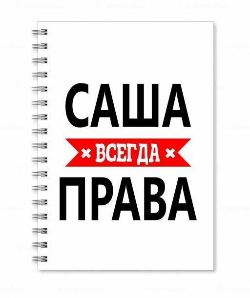 Тетрадь MIGOM принт А5 Саша всегда права