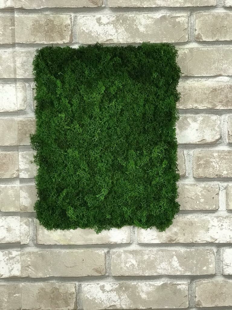 Панно 30*40 из стабилизированного мха 2 сорта (обрезков) цвет №5 (летняя трава)