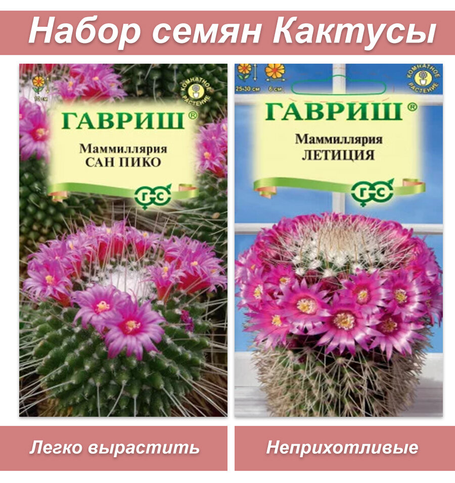 Семена кактуса