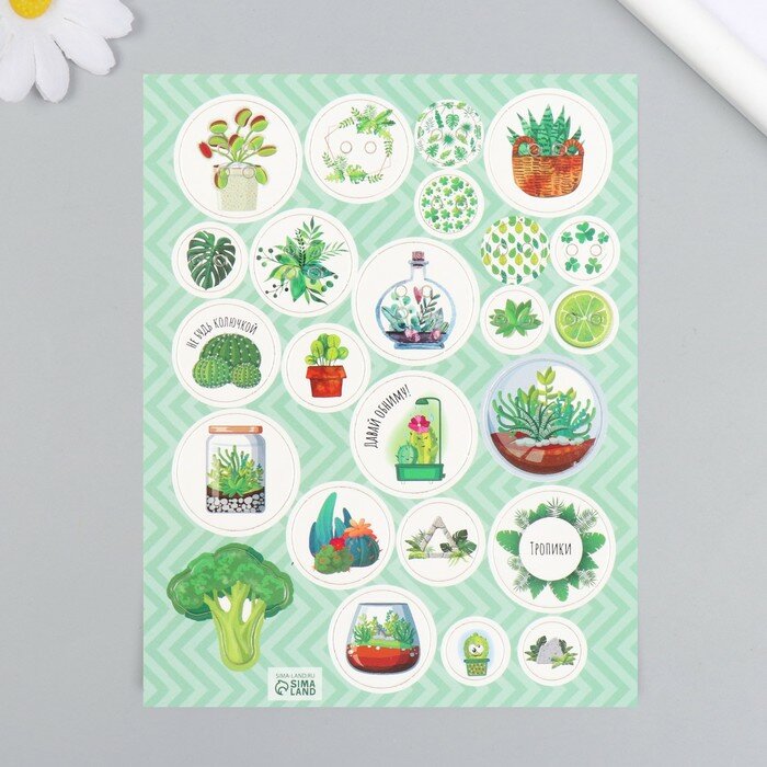 Декор для творчества картон "Фишки и пуговки. Зелёный" 24 шт 13х16,5 см