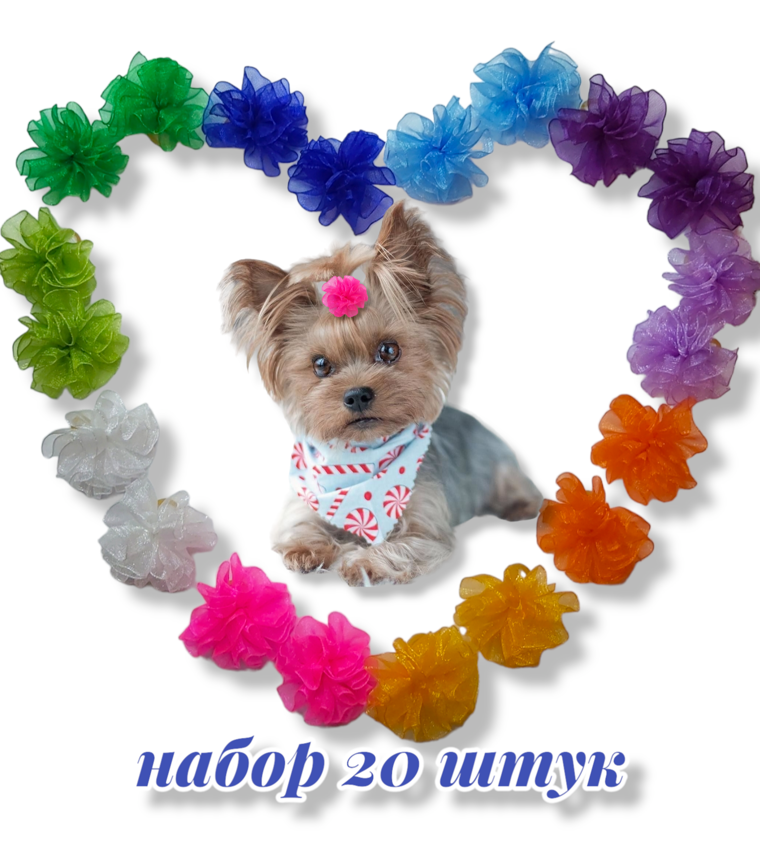 Резинки для собак