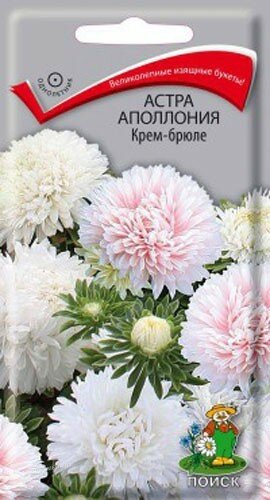 Астра Аполлония Крем-брюле, 0,3 гр (0,3 гр.), Агрофирма Поиск, Россия