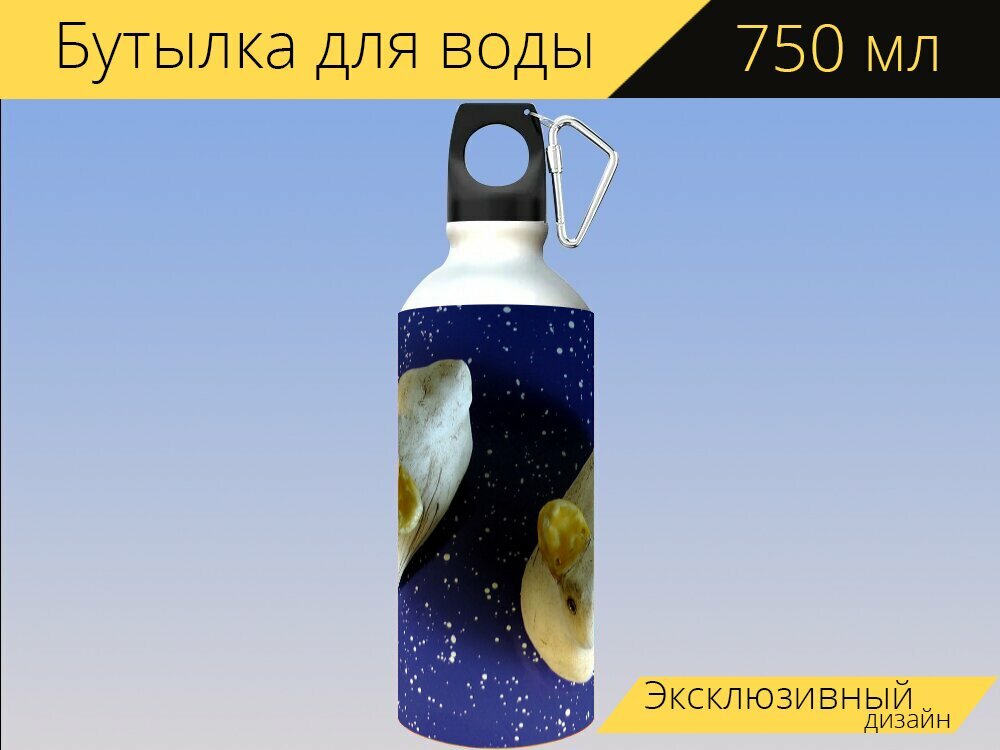 Бутылка фляга для воды "Глиняные фигурки, пара уток, керамика" 750 мл. с карабином и принтом