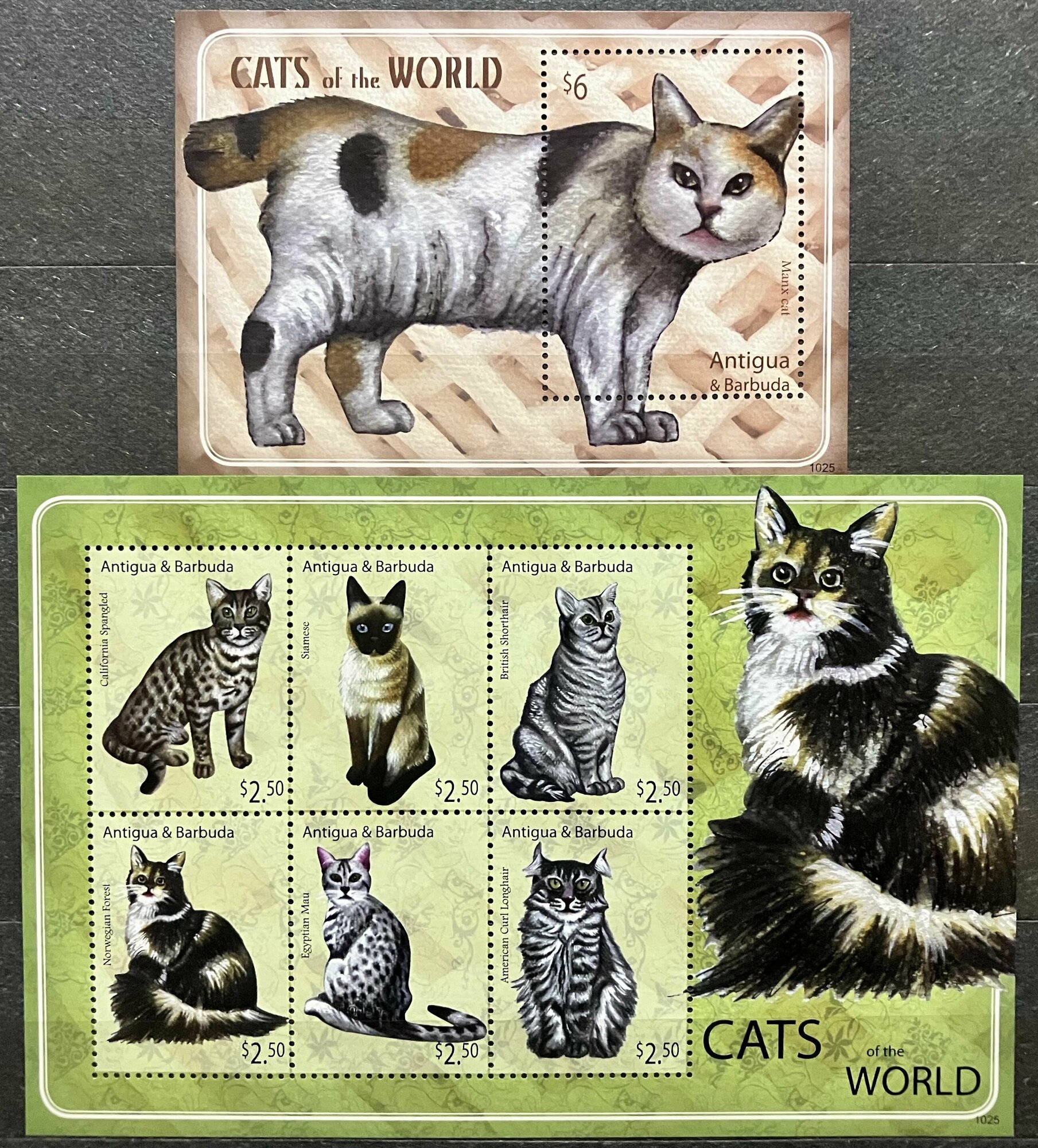 Антигуа и Барбуда 2010, Фауна. Кошки мира
