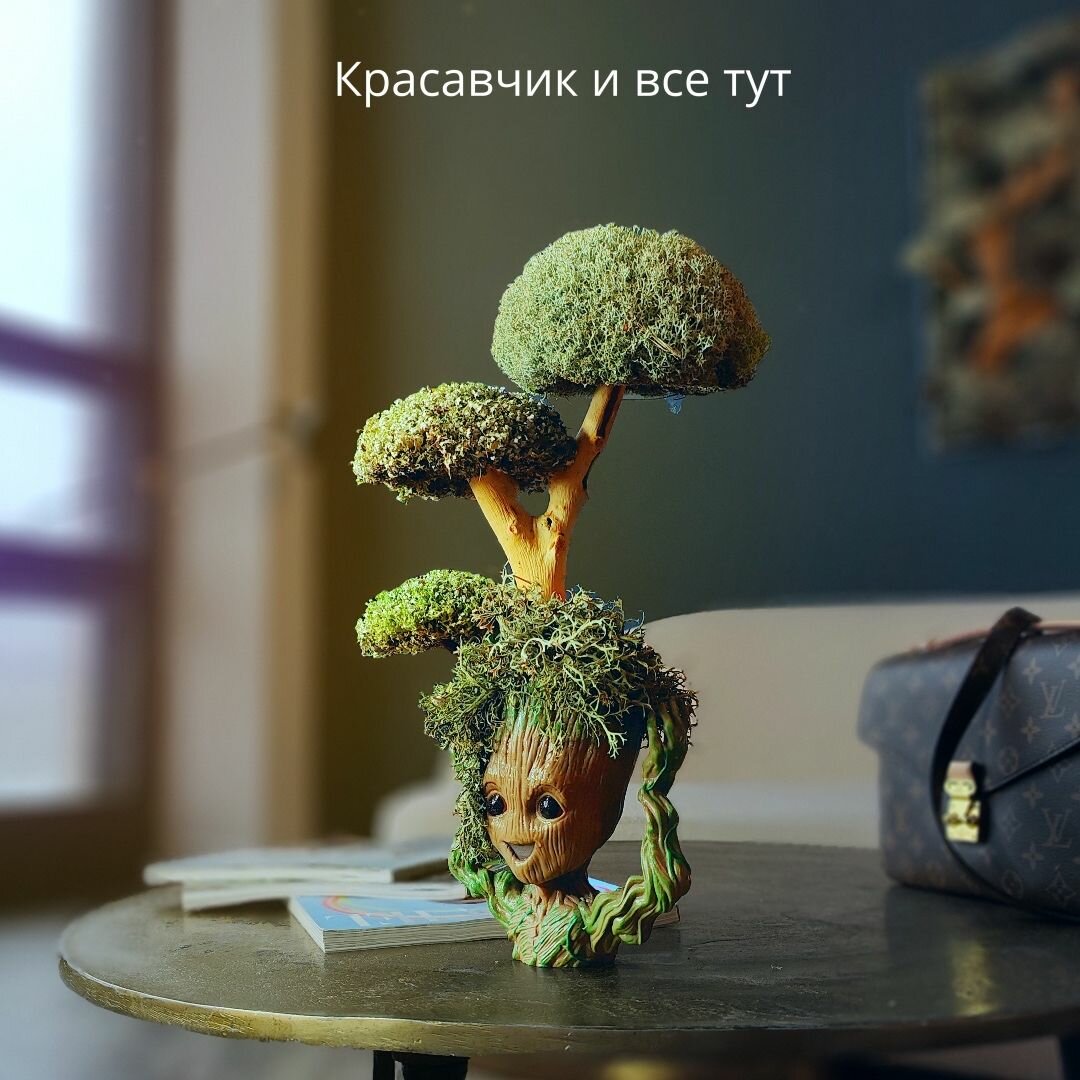Грут марвел с деревом из цетрарии, декор интерьера, высота 30 см