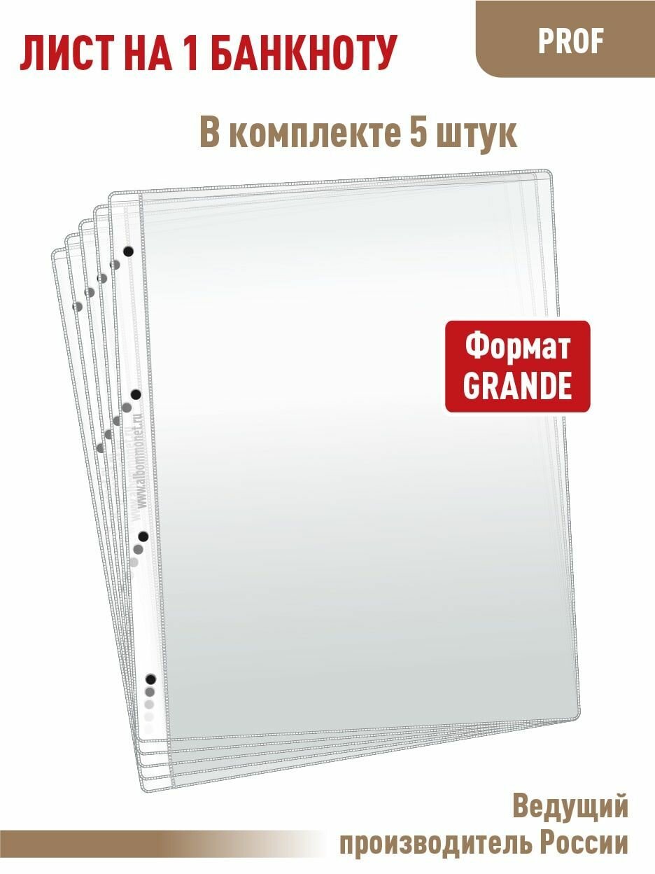Комплект из 5 листов "ПРОФ" для хранения бон (банкнот) на 1 ячейку. Формат "GRAND". Размер 250х310 мм. Альбомов