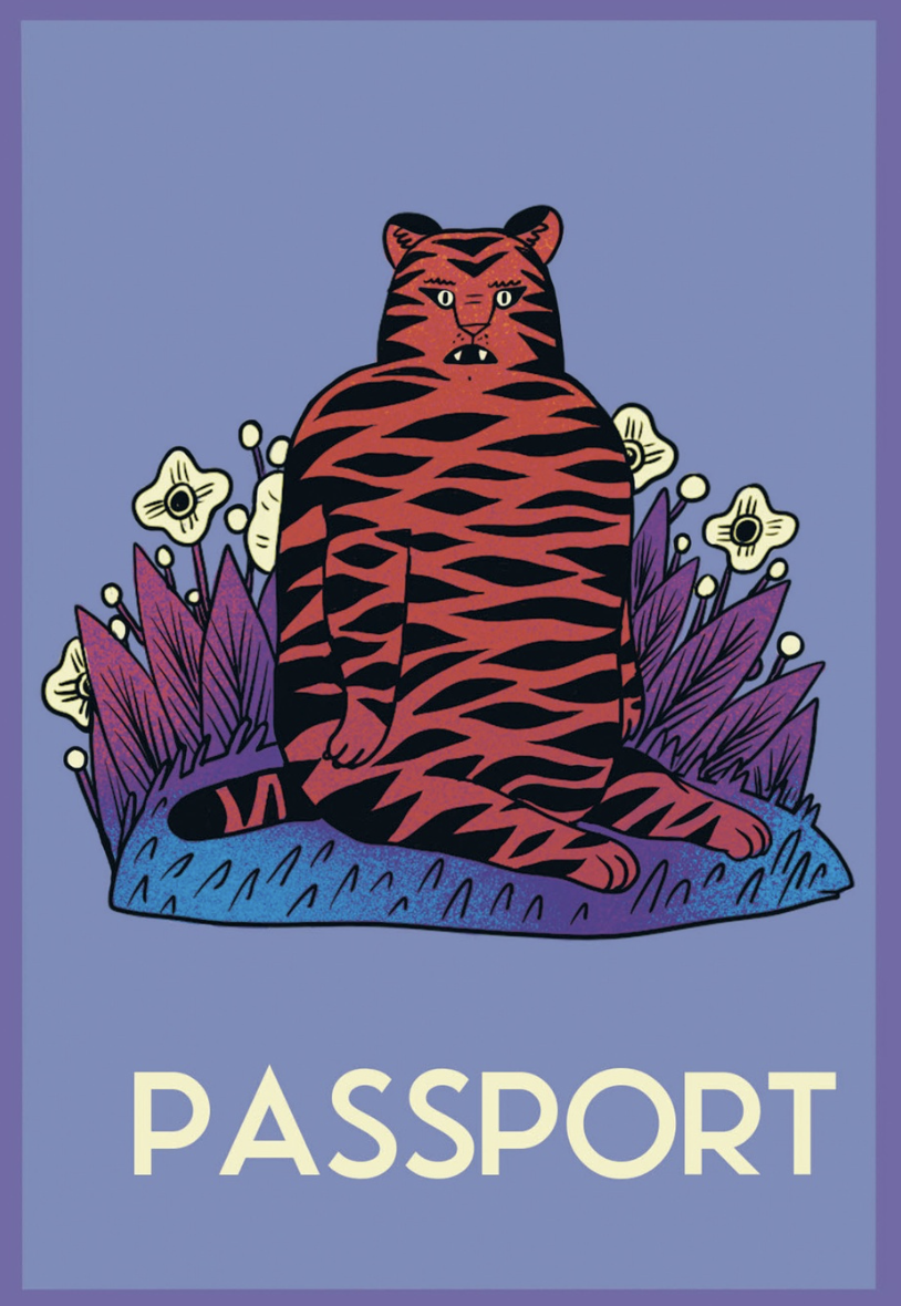 Обложка для паспорта