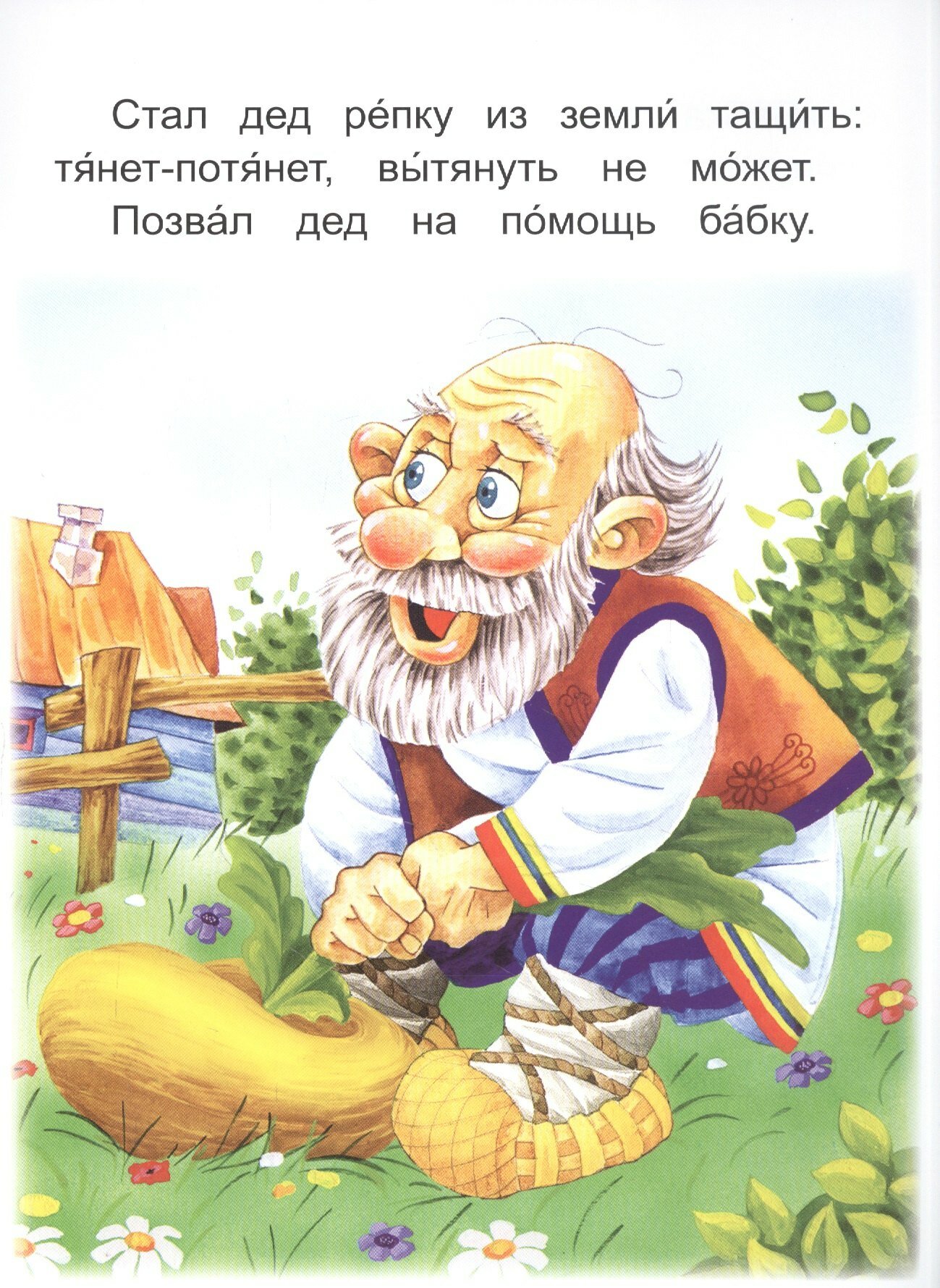 Репка — фото 1
