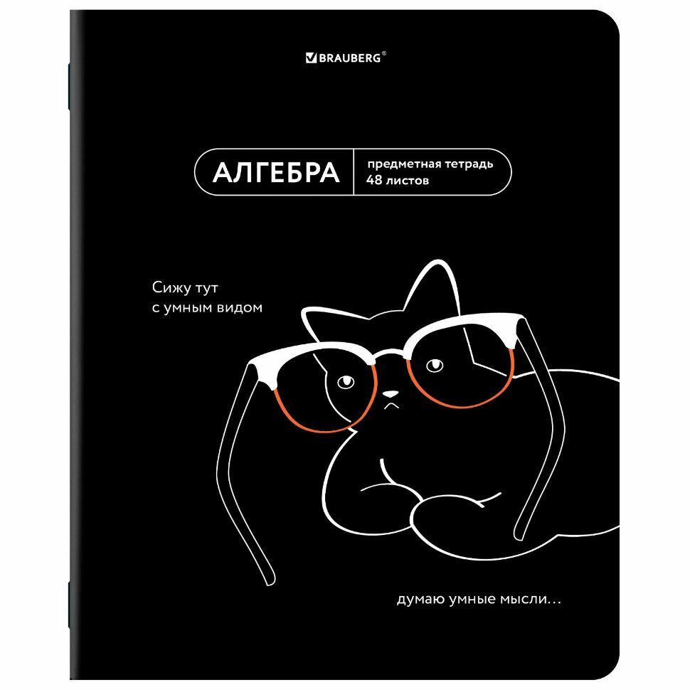 Тетрадь предметная мемы 48 л, TWIN-лак, алгебра, клетка, подсказки, BRAUBERG, 405096, 405096