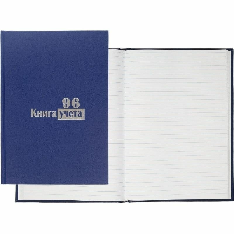 Книга учета выбор есть Линия, А4, 96 листов, блок типографская бумага, обложка бумвинил