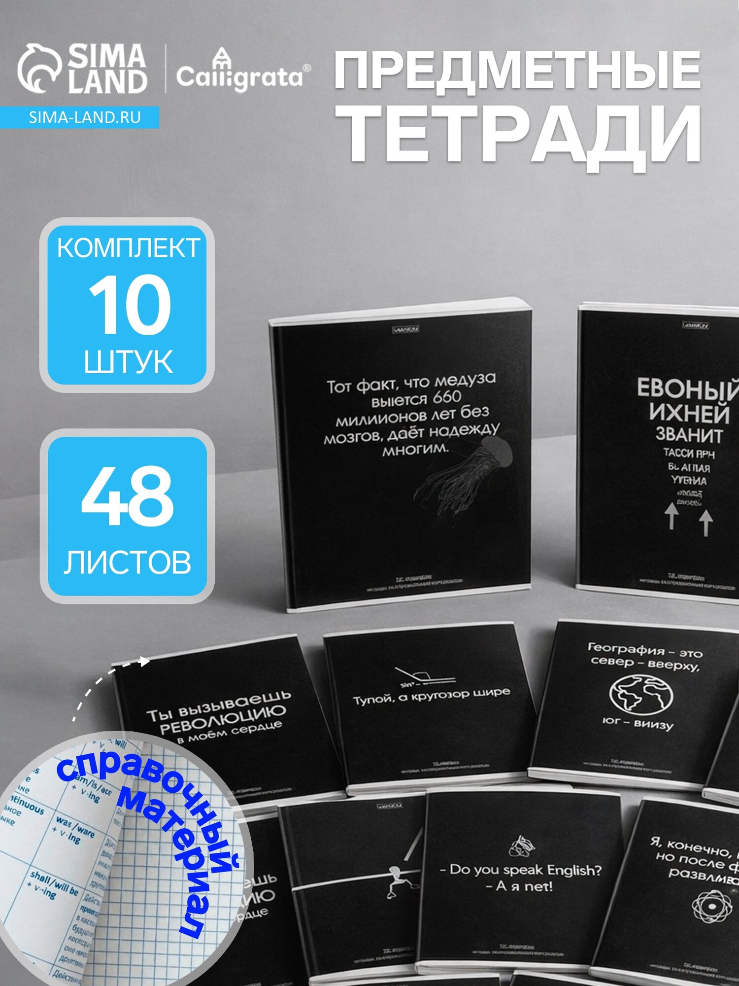 Тетради предметные «На чёрном», 10 предметов, 48 листов, со справочным материалом, обложка из мелованного картона