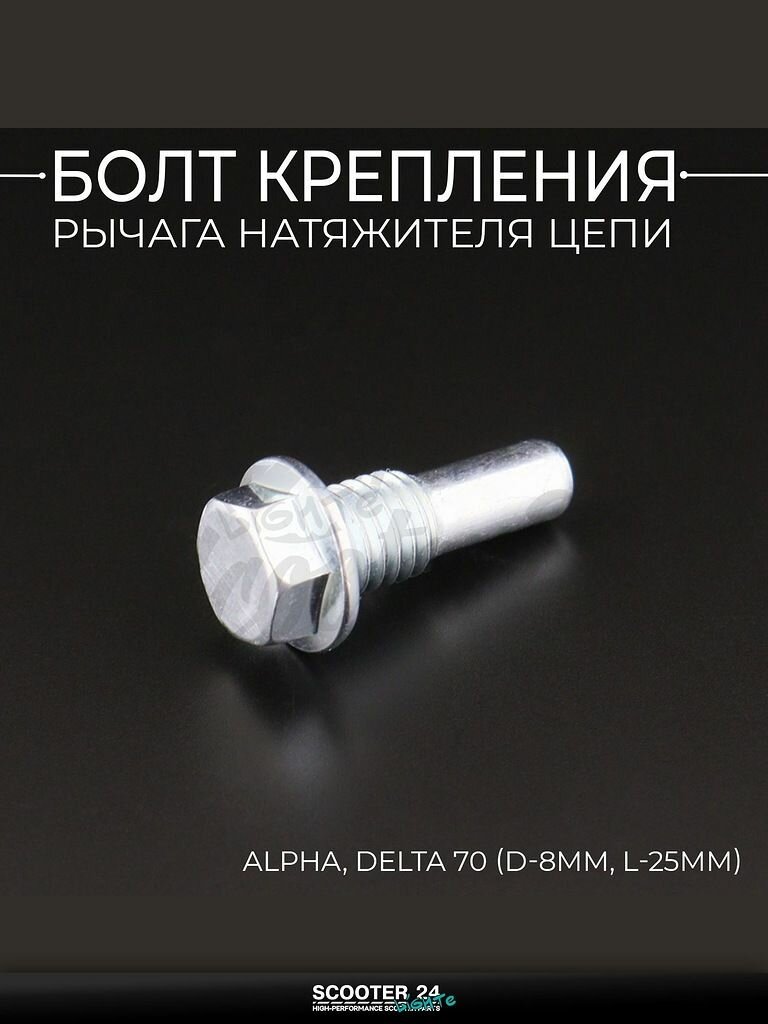 Болт крепления рычага натяжителя цепи на мопед и мотоцикл на мотоцикл и мопед Alpha, Delta / Альфа Дельта / Альфа Дельта Орион 70 кубов, d 8 мм, L 25 мм "BEEZMOTO"