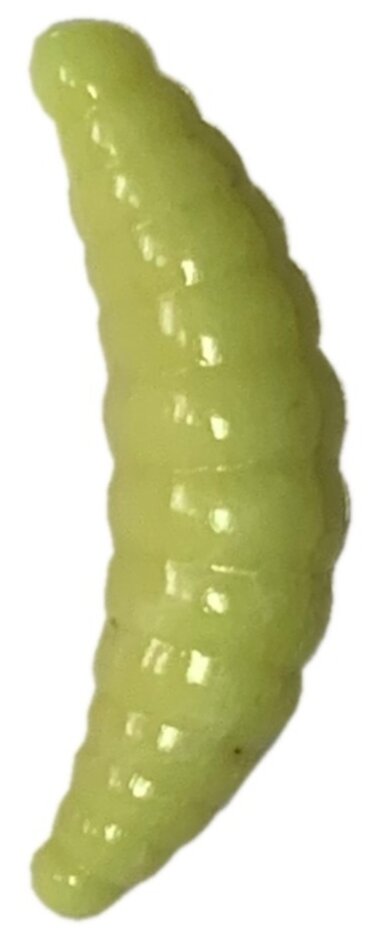 Силиконовая приманкаTROUT BAIT в банке, MAGGOT 30, СЫР, COL. 7 (Mustard - Горчичный)