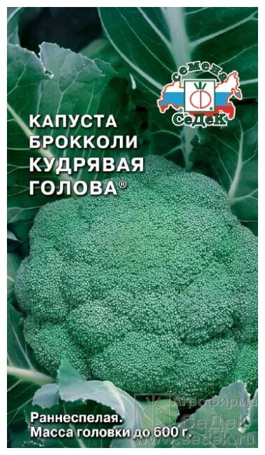 Семена капусты брокколи "Кудрявая голова" 10 упаковок по 0,5 гр - головка округлая, плотная, темно-зеленая, массой 400-600 гр.