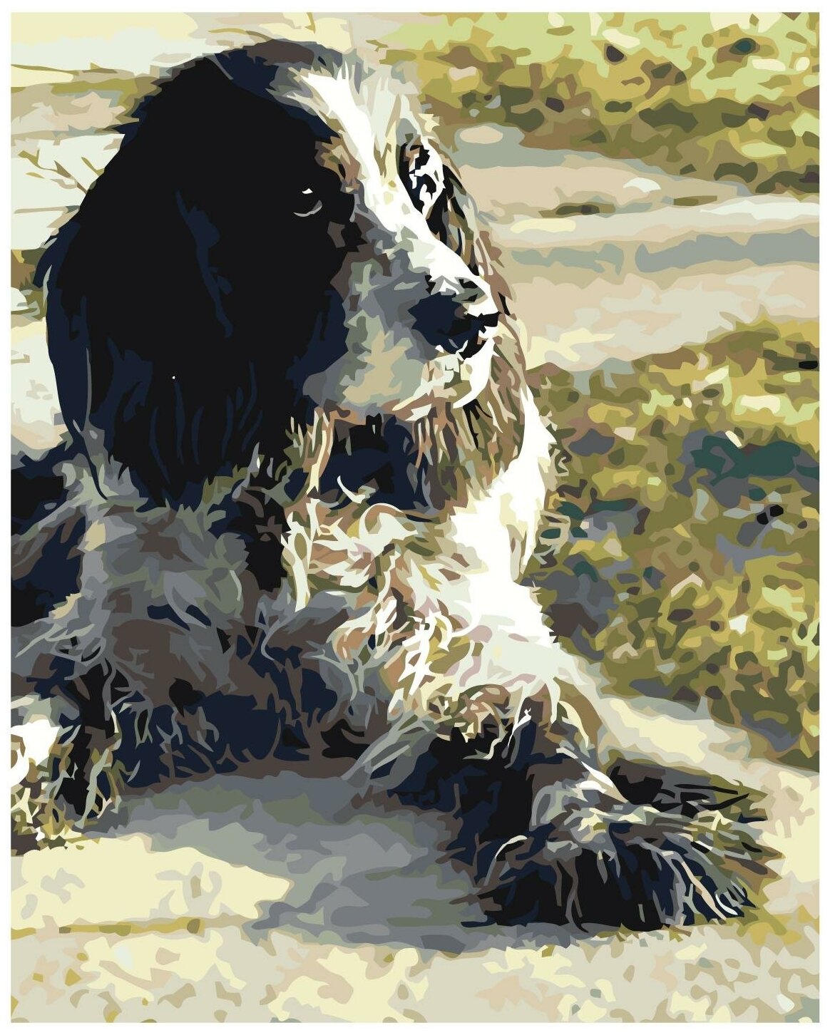 Спаниель Раскраска картина по номерам на холсте