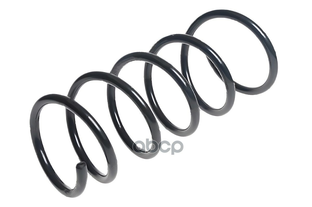 Пружина задняя! Dacia Duster H79 10-21, Renault Duster 10-21 Standard Springs арт. ST140009R
