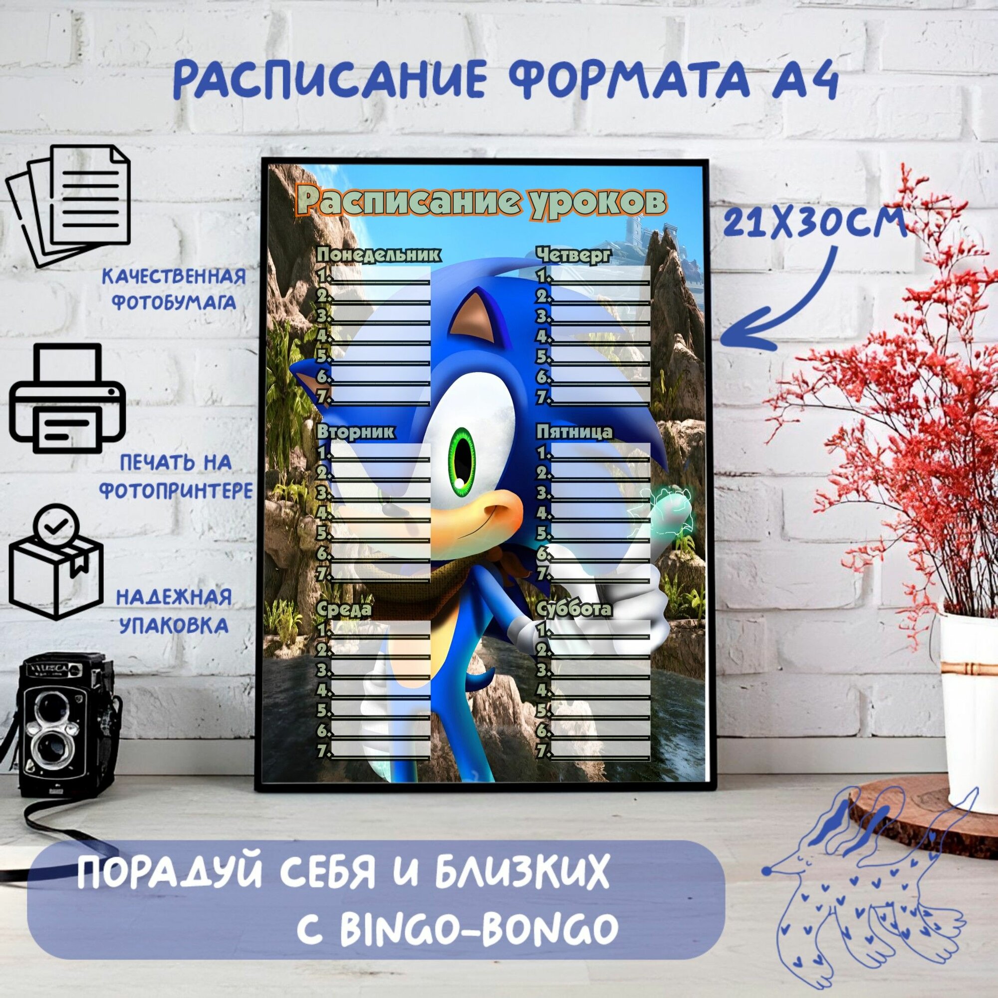 Расписание уроков формата А4, с принтом Соник