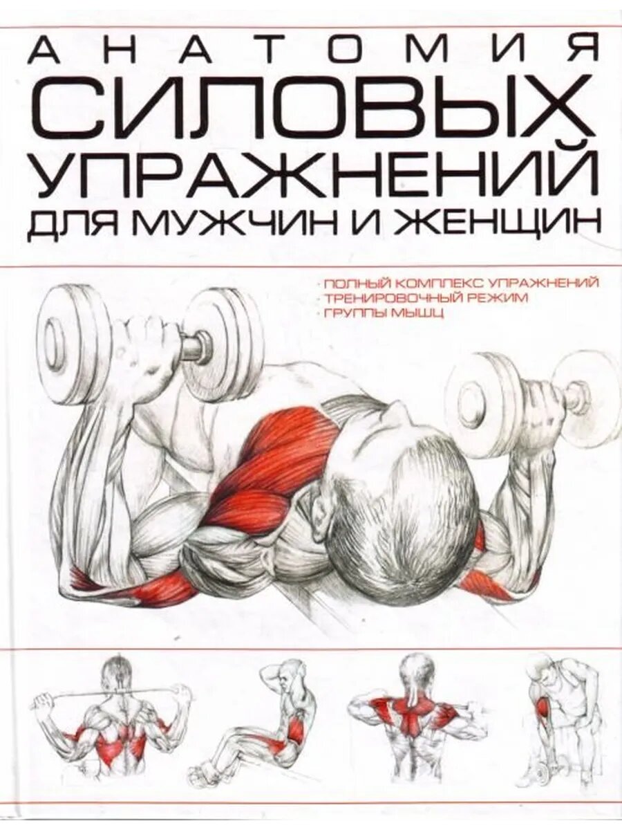 Анатомия силовых упражнений для мужчин и женщин