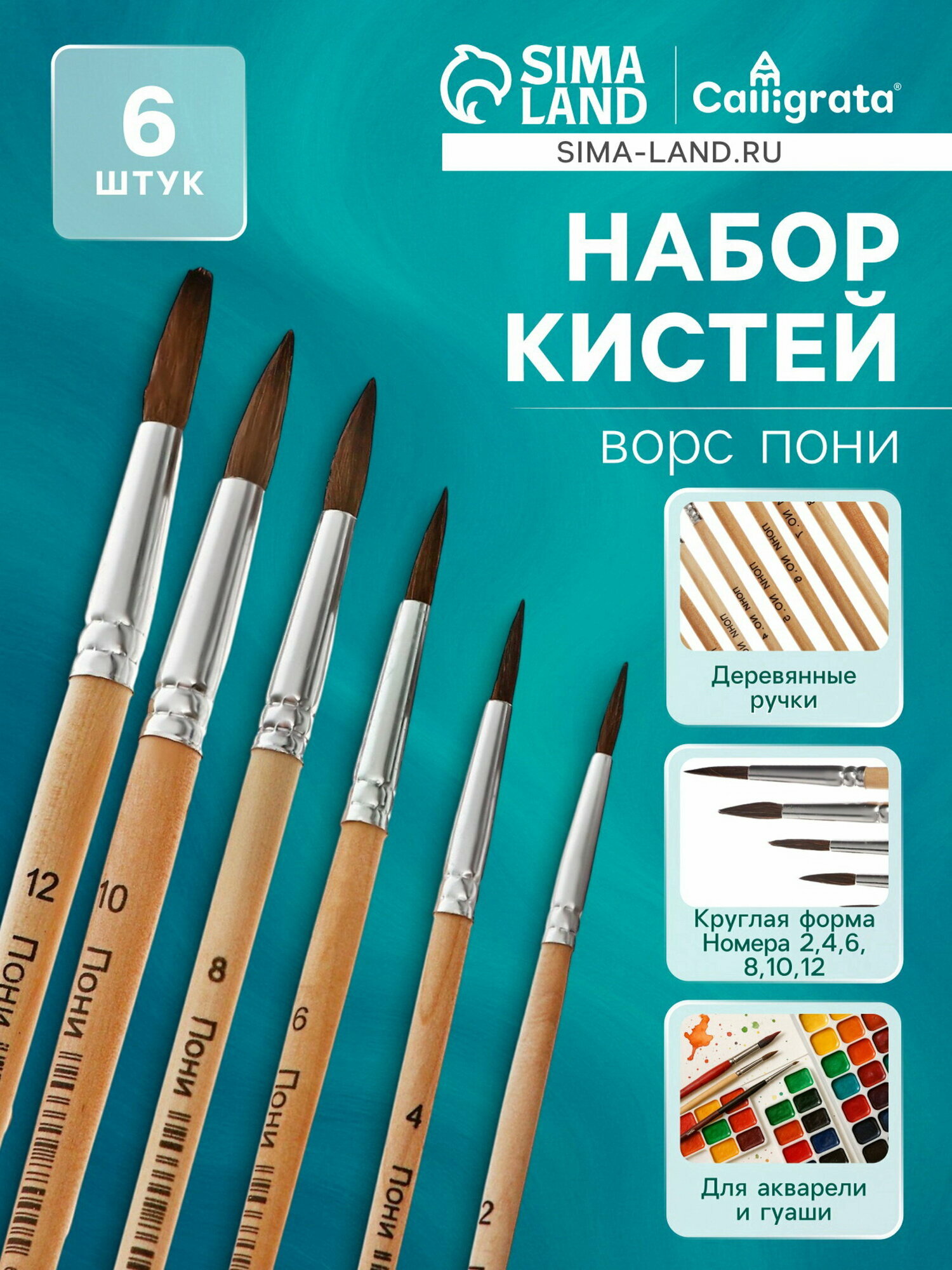 Набор кистей для рисования, пони, 6 штук: № 2, 4, 6, 8, 10, 12, круглые, деревянная ручка, международный размер