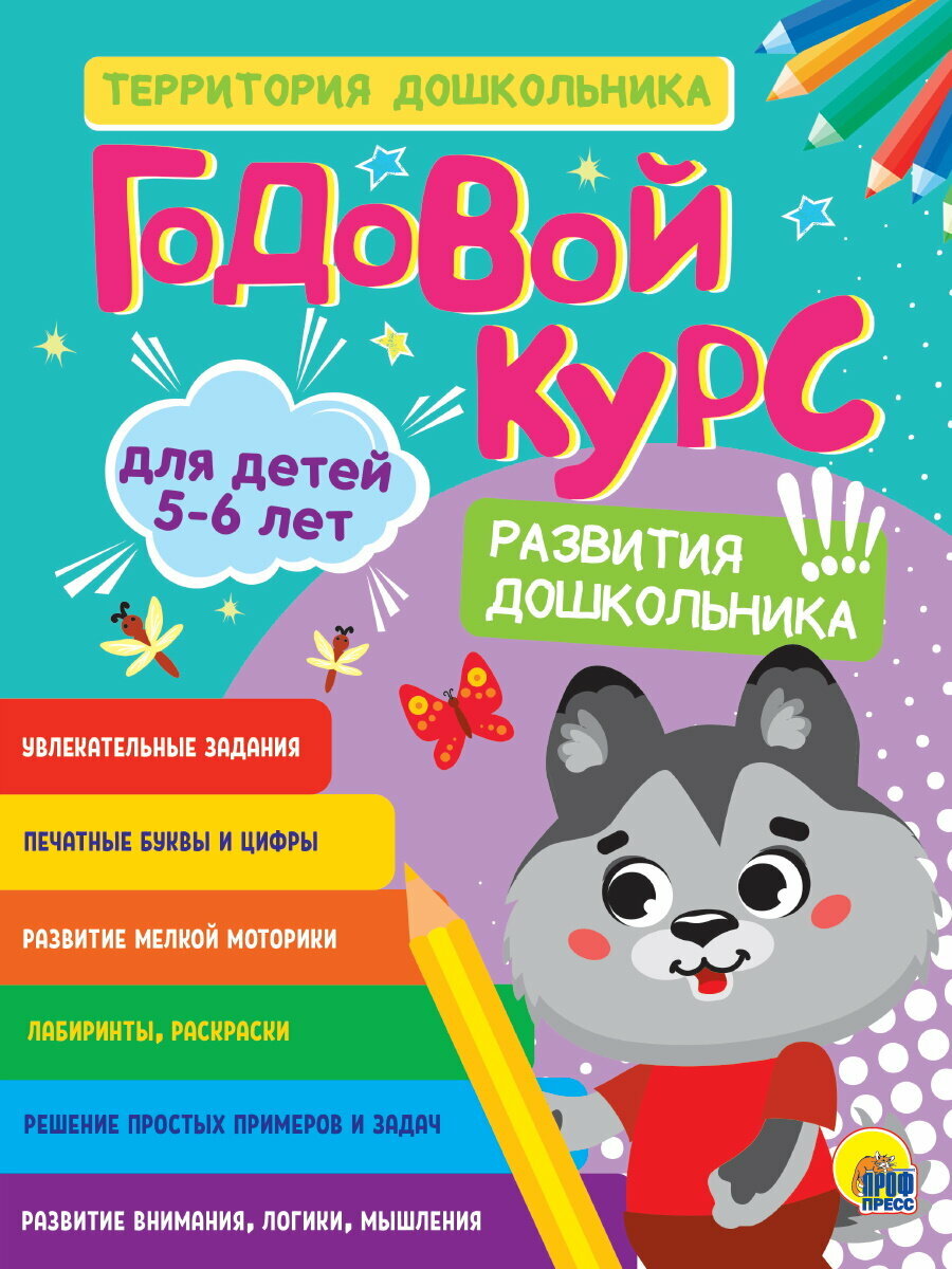 Годовой курс 5-6 ЛЕТ (стандарт 20), изд: Проф-пресс