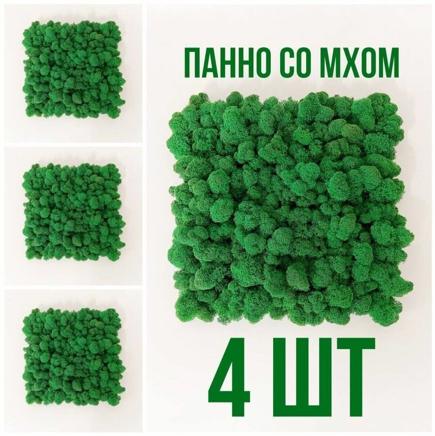 Панно панель со стабилизированным мхом 4 шт 33х33х6 см на стену декоративное для интерьера сухоцветы Molecula Decor