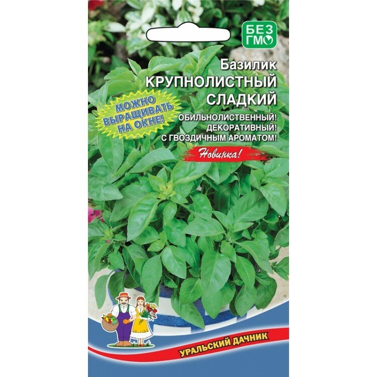 Семена базилика "Крупнолистный сладкий" 10 упаковок по 0,25 гр - для тех, кто ценит вкус и аромат свежей зелени.