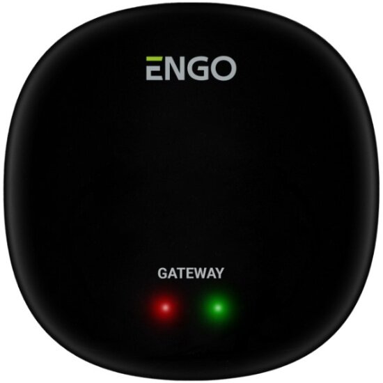 Интернет-шлюз Salus Controls Zigbee EGATEZB для ENGO Smart, универсальный