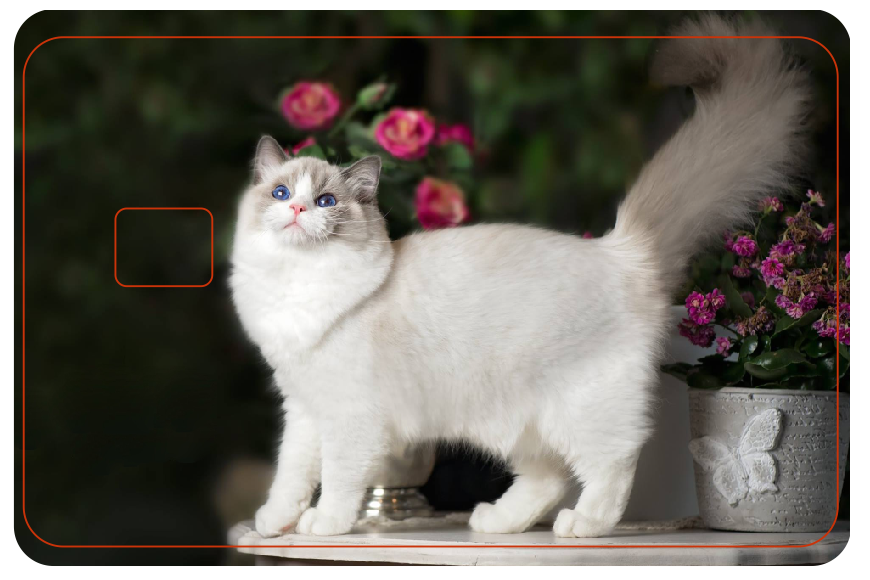 Наклейка на банковскую карту, стикер на карту, кошки