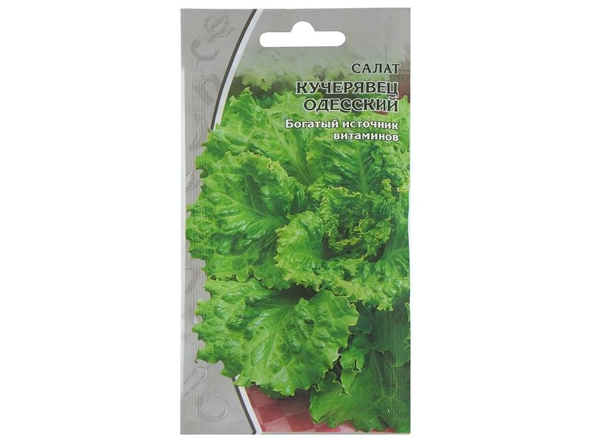 Салат кучерявец одесский среднепоздний, витамины для здоровья, семена 1г, листовой, высокое качество урожая