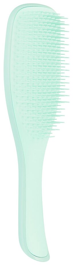 Расческа Tangle Teezer The Ultimate (Wet) Detangler Fine & Fragile Sea Spray Green