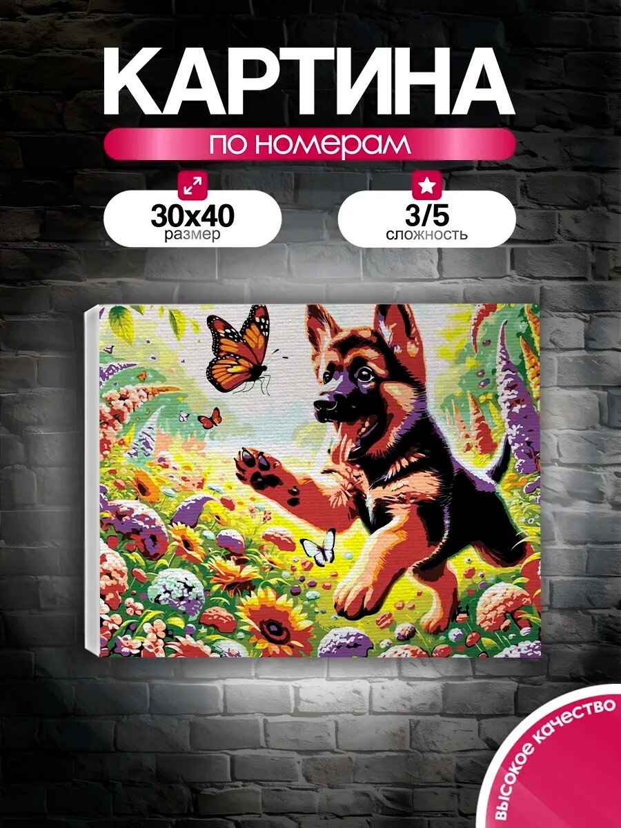 Картина по номерам 30x40 Щенок овчарки на лугу