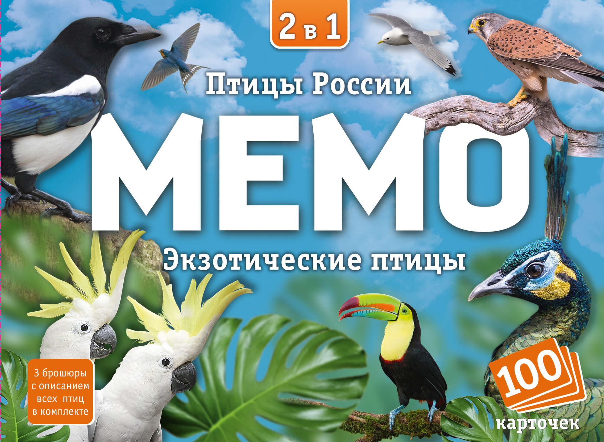 Мемо 2 в 1 "Птицы России и Экзотические птицы" (100 карточек) артикул 8682