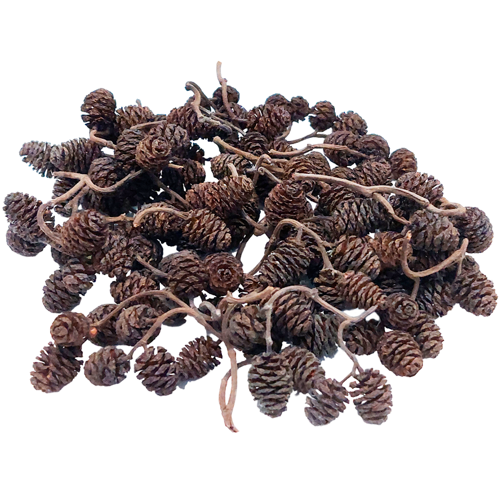 Шишки ольхи цельные (Соплодия ольхи)