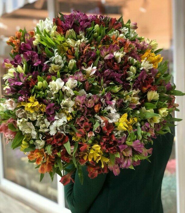 Букет Well Flowers "Альстромерии", альстромерии, круглый, XXL, в пленке, 101 цветок, букет свежих цветов